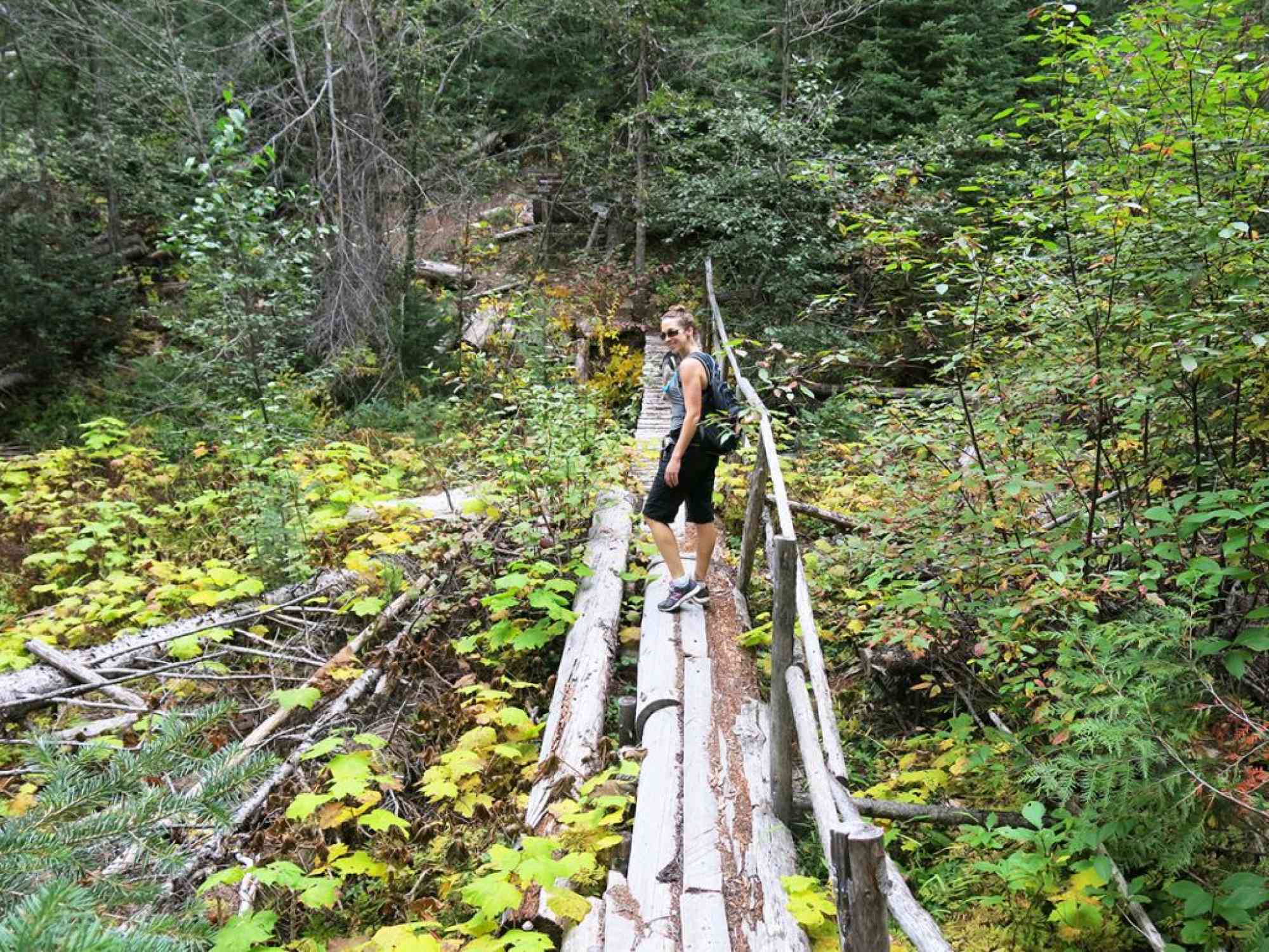 Trails | High Rim Trail: Oyama Entrance to Repeater Tower