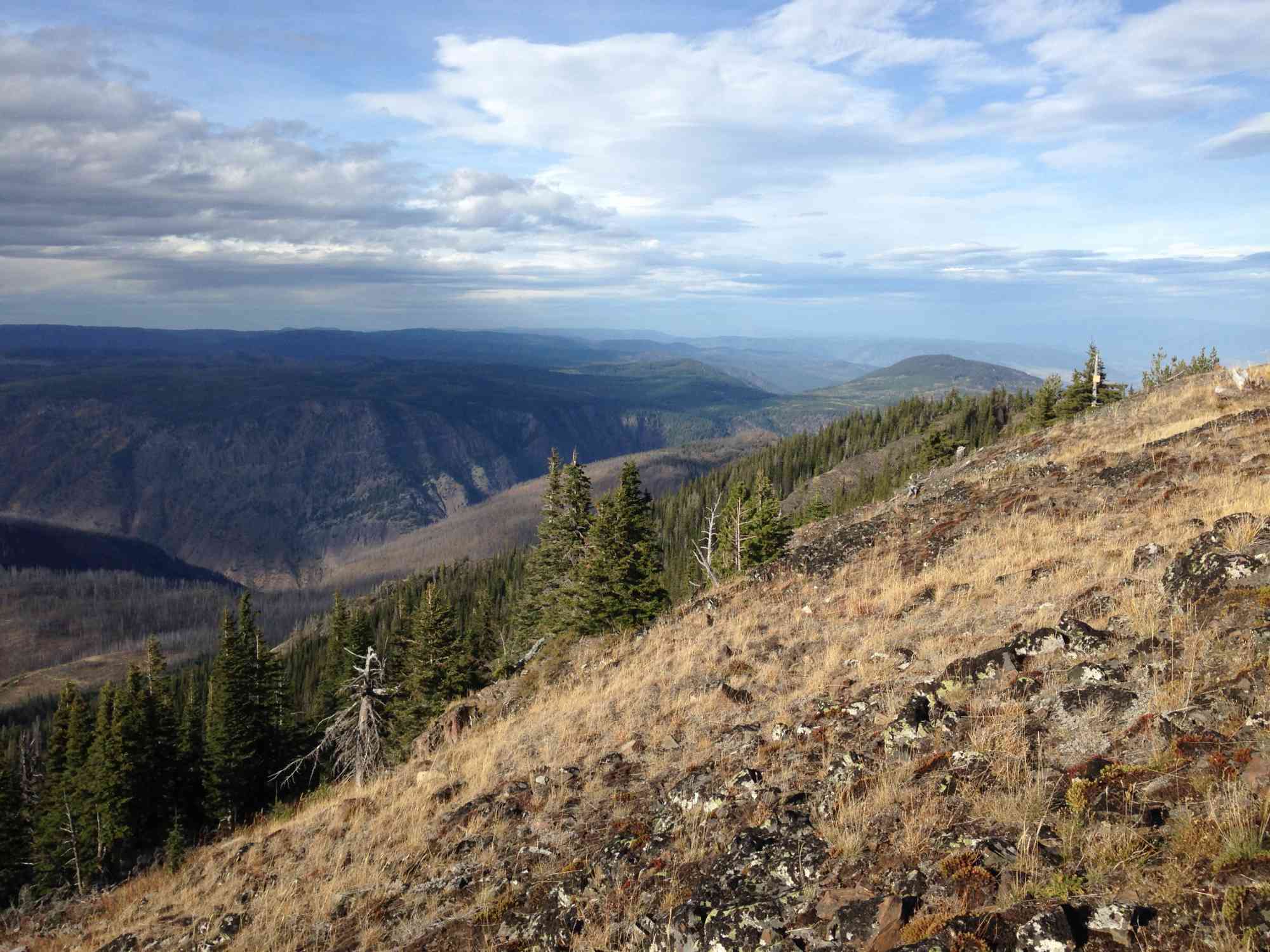 Trails | Terrace Mountain