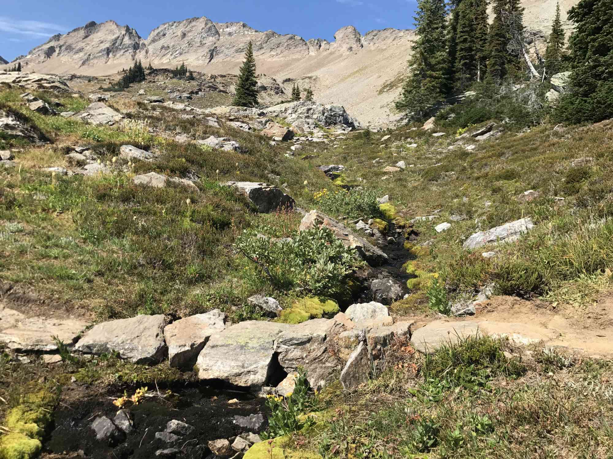 Trails | Monashees: Mt. Fosthall via Spectrum Lake