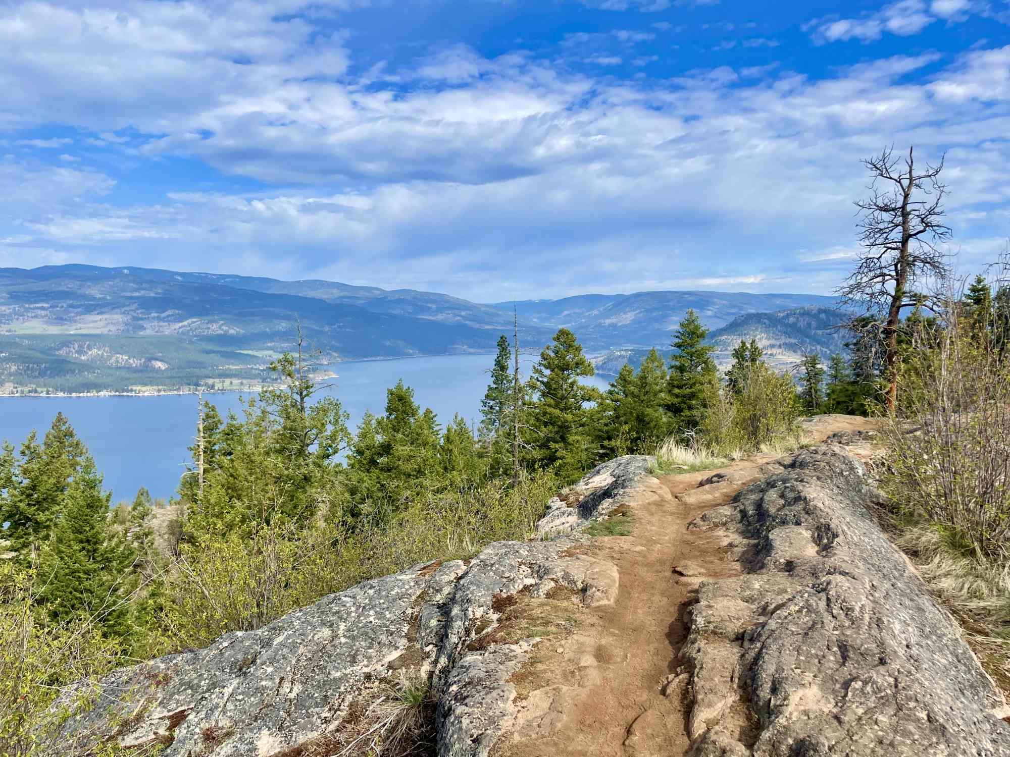 Trails | Ellison Provincial Park/Predator Ridge (Trail Network)